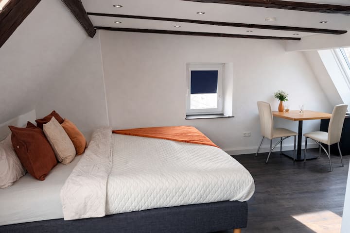 Gemütliche 1-zimmerwohnung Mit Küche - Zentral - Neuhausen