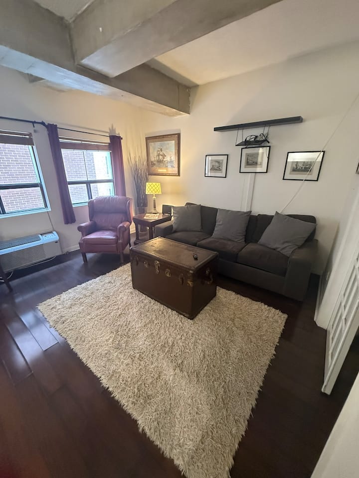 Central Downtown Condo Across From Uga Arch. - Athens, GA