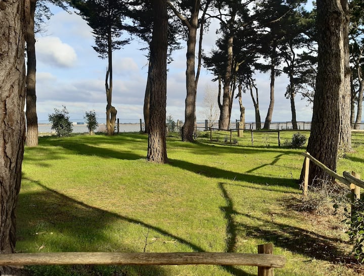 Emplacement Nu - Tente & Caravane - Avec éLectric - Paimbœuf