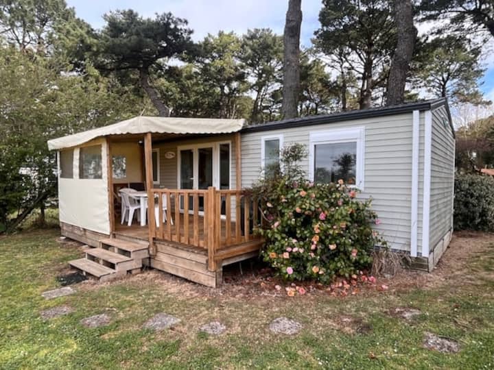 Mobil Home Confort Plus - 33m² - 3 Chambres - Ter - Paimbœuf