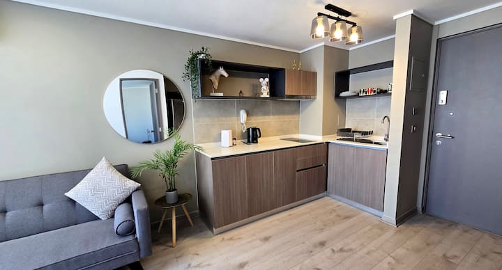 Moderno Depto Centro | Metro, Wifi. Ideal Para 2 - Santiago