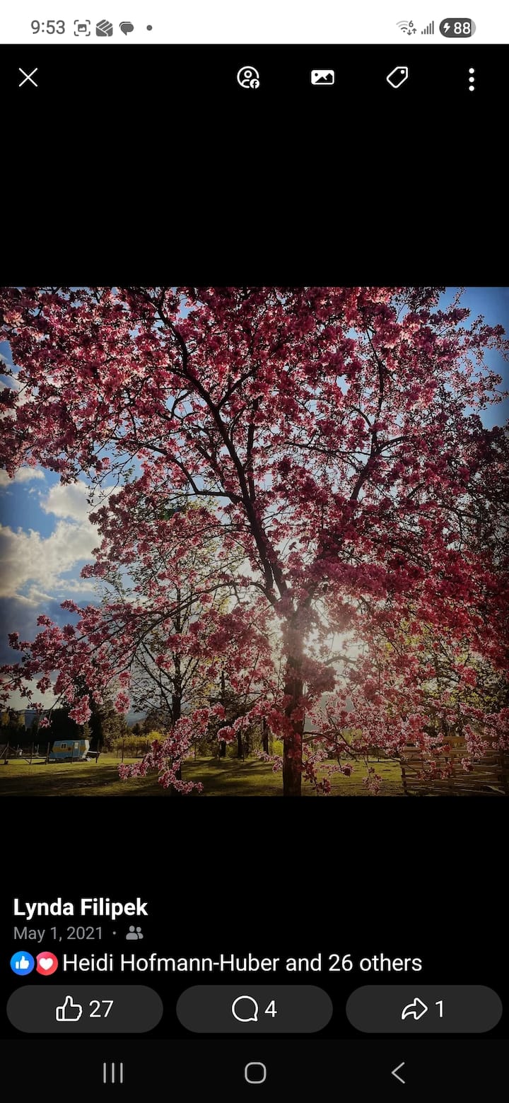 The Green Acre Retreat - Grand Forks