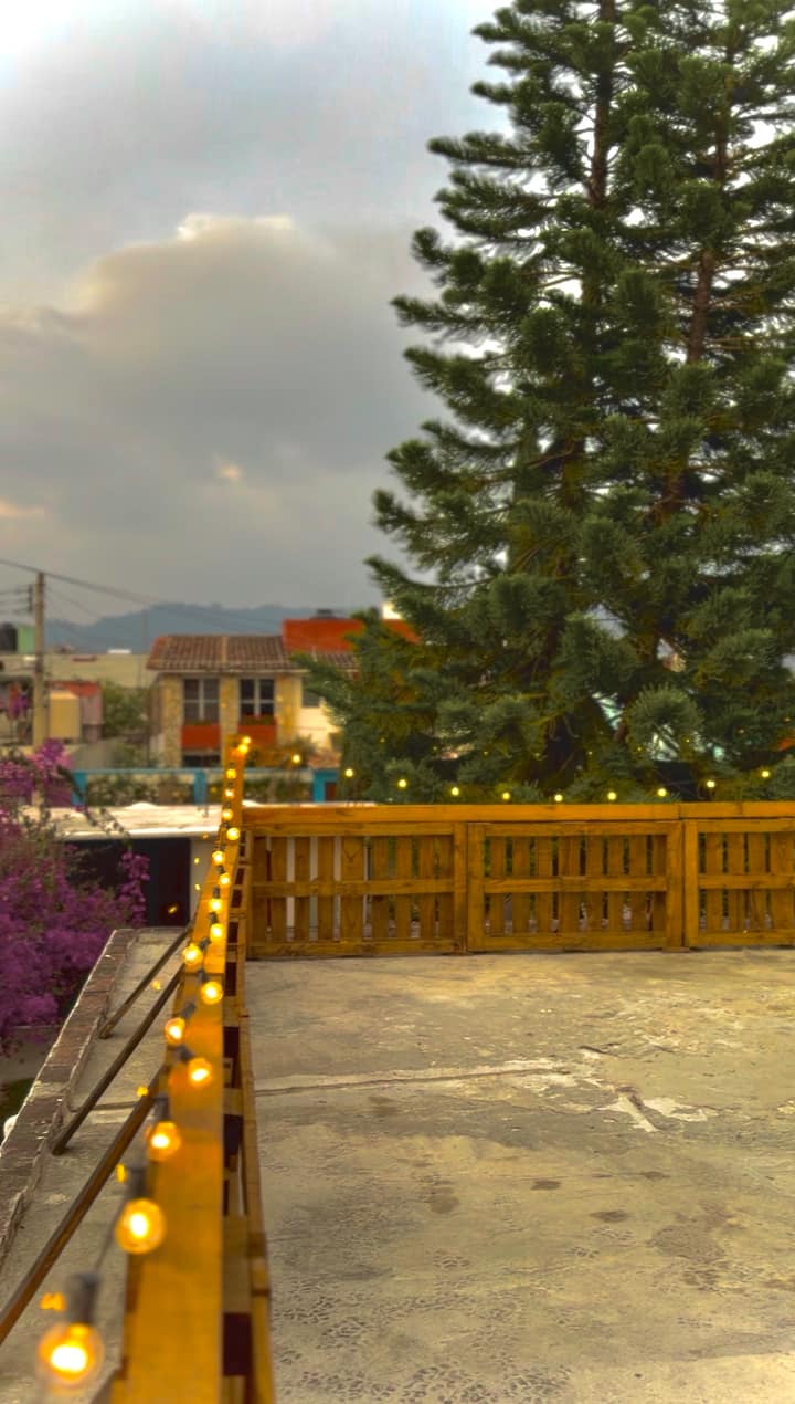 Araucaria's Na'. "Tu Hogar Lejos De Casa." - San Cristóbal de las Casas