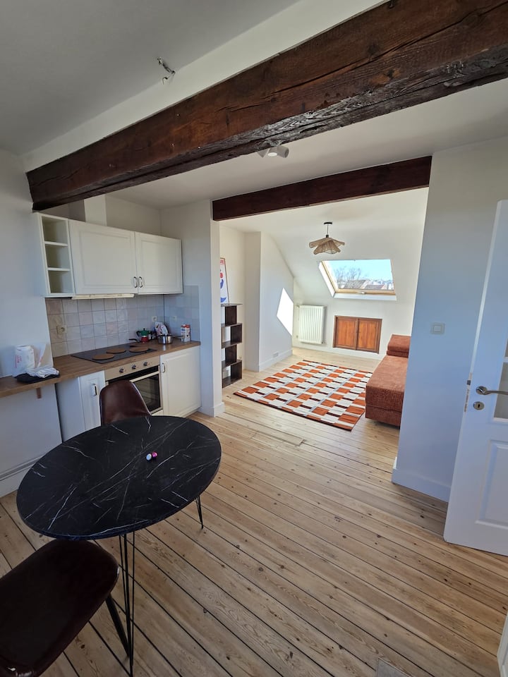 Appartement Très Lumineux (Etterbeek) - Ixelles
