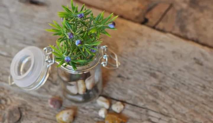 Hotel Pennhof Rubis - Castelrotto