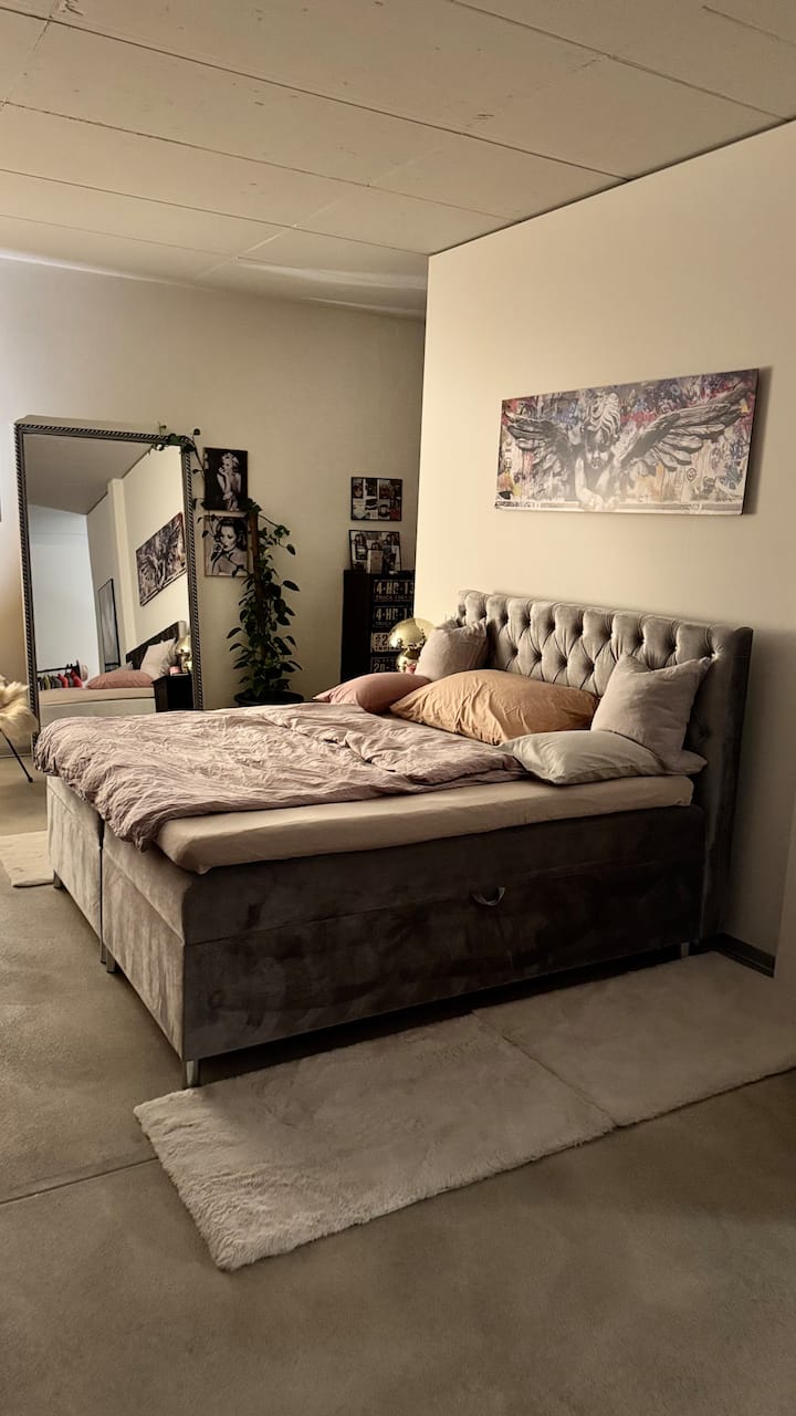 Wunderschöner Moderner Loft - Schaffhausen