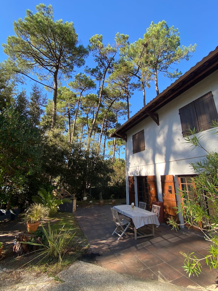 Maison Sous Les Pins - Cap Ferret