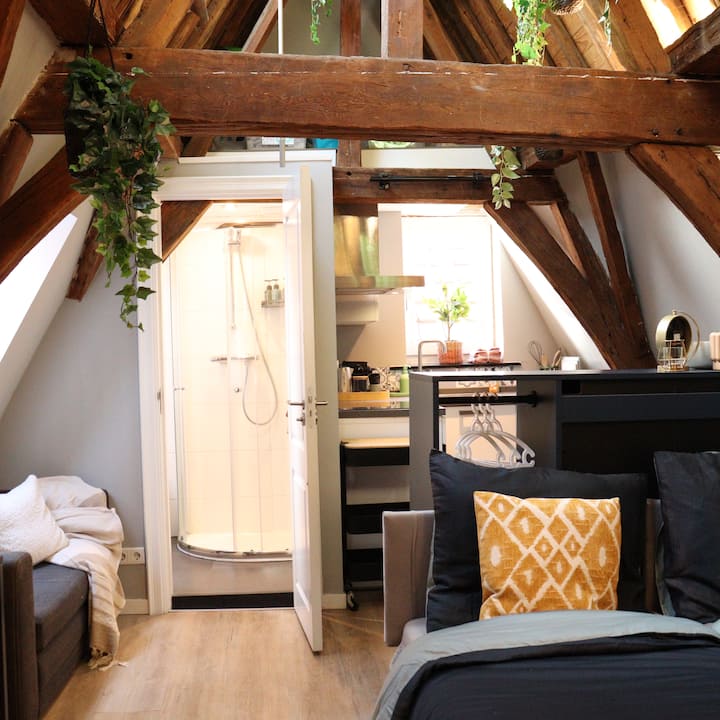 Coolest Loft -Studio In Haarlem City - 3rd Floor - Haarlem