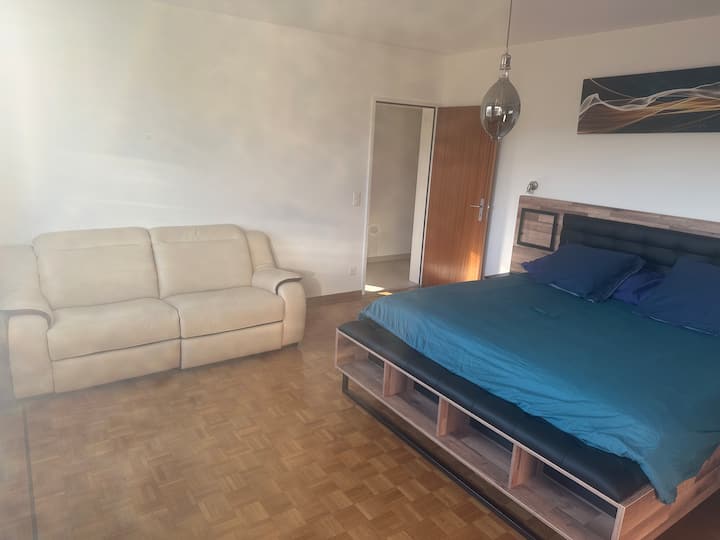 Chambre Standing Dans Un Joli Appartement. - Fribourg