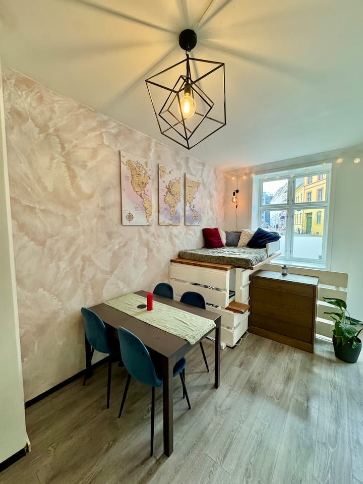 Sentral Leilighet Med 2 Etasjer - Oslo