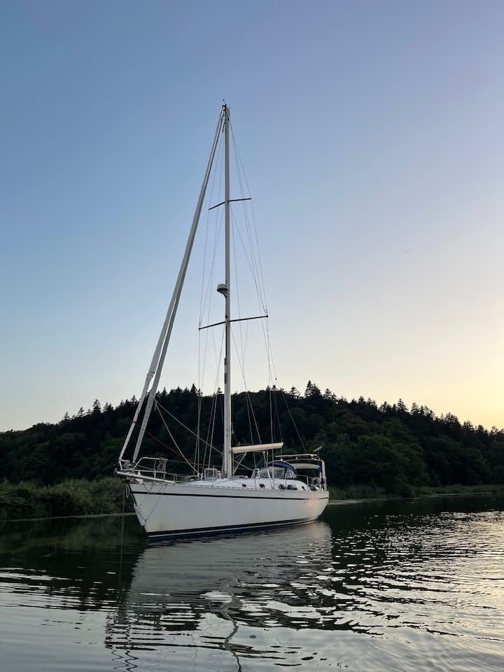 Bienvenue à Bord De Tao - Arzal