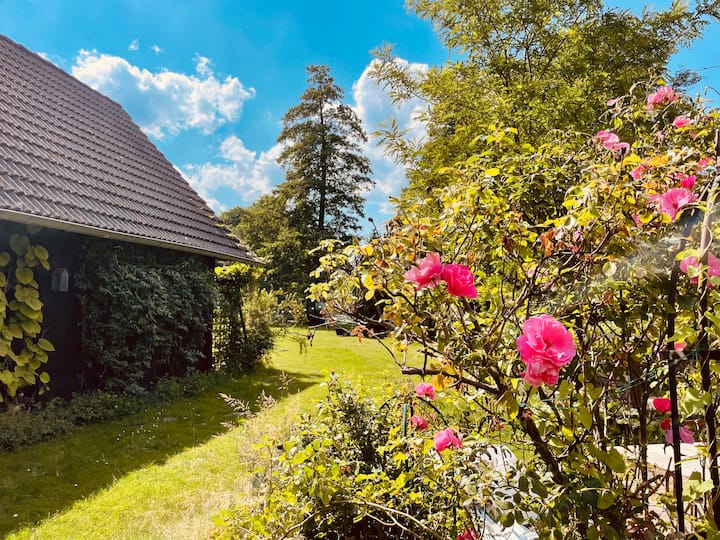 Lakeside Cabin With Sauna, Boats & Wild Swans - Erkner