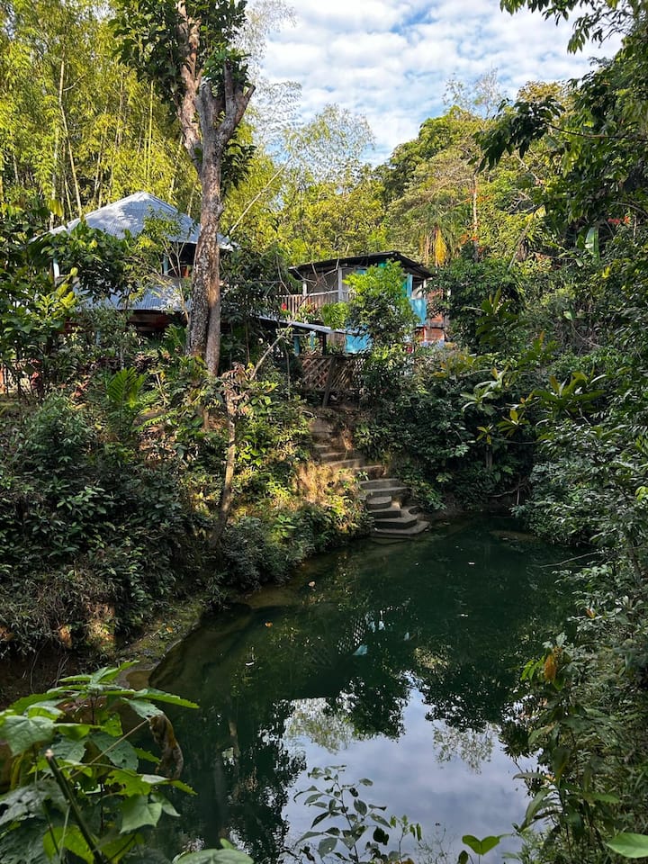 Finca Ecoturística El Mirador Del Guayabero - La Macarena