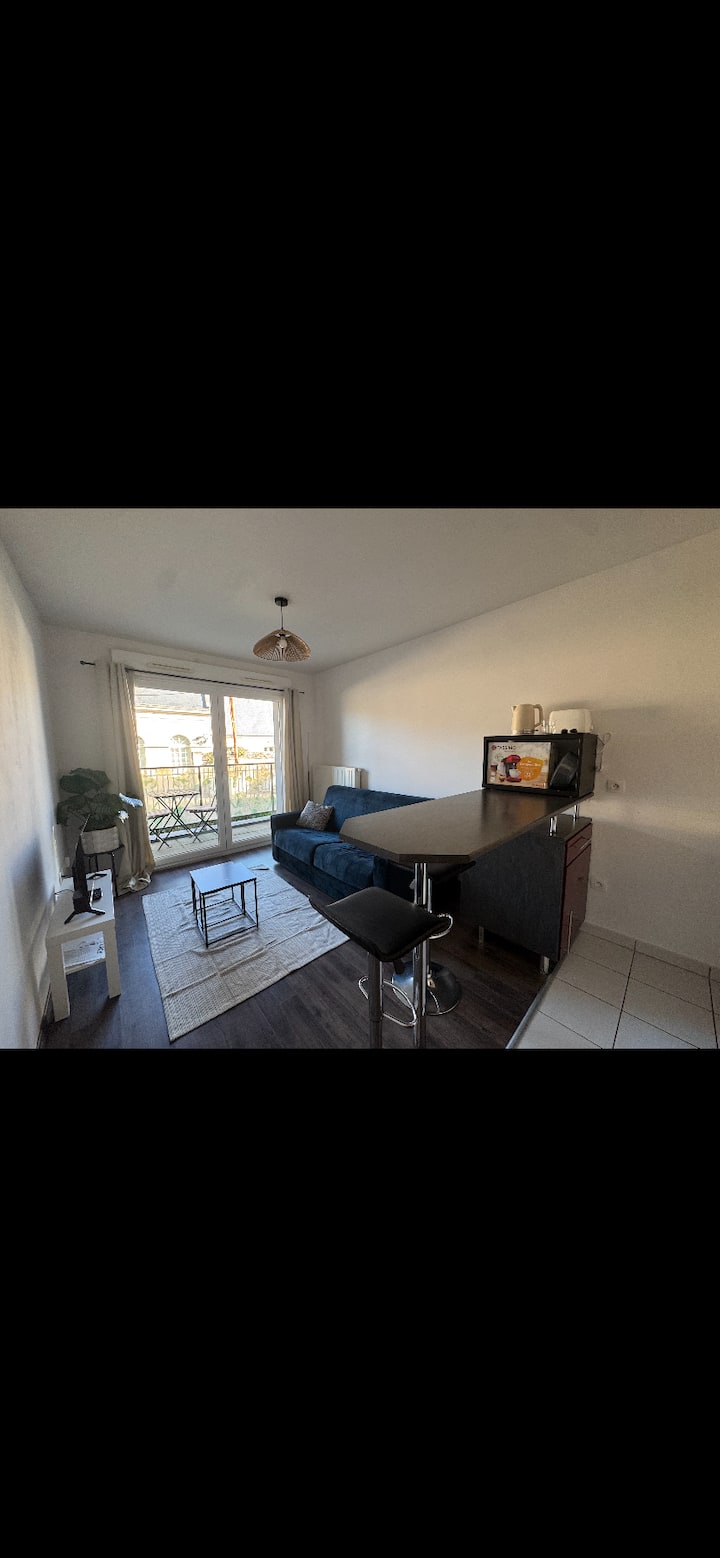 Studio Cosy Avec Balcon Et Parking - Mondeville