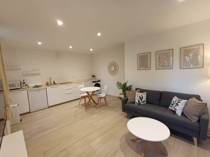 Charmant Cocon à Roques - Fransa