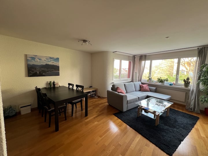 2.5 Zimmer-wohnung - Zürich Enge/wollishofen - Zürich