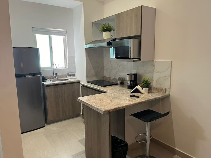 Loft Espacioso En El Centro De La Ciudad - Monterrey