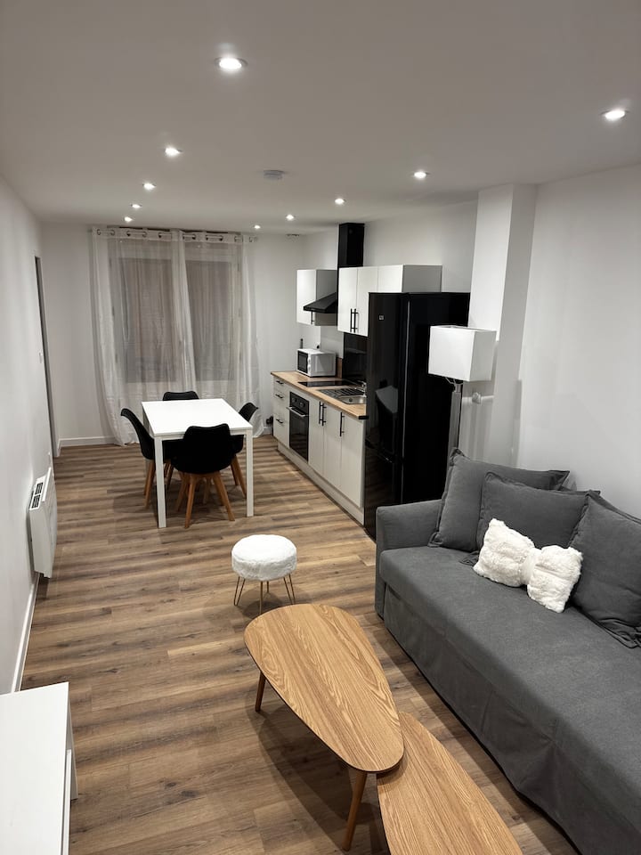 T2 Lumineux – Centre-ville-proche Gare - Le Mans