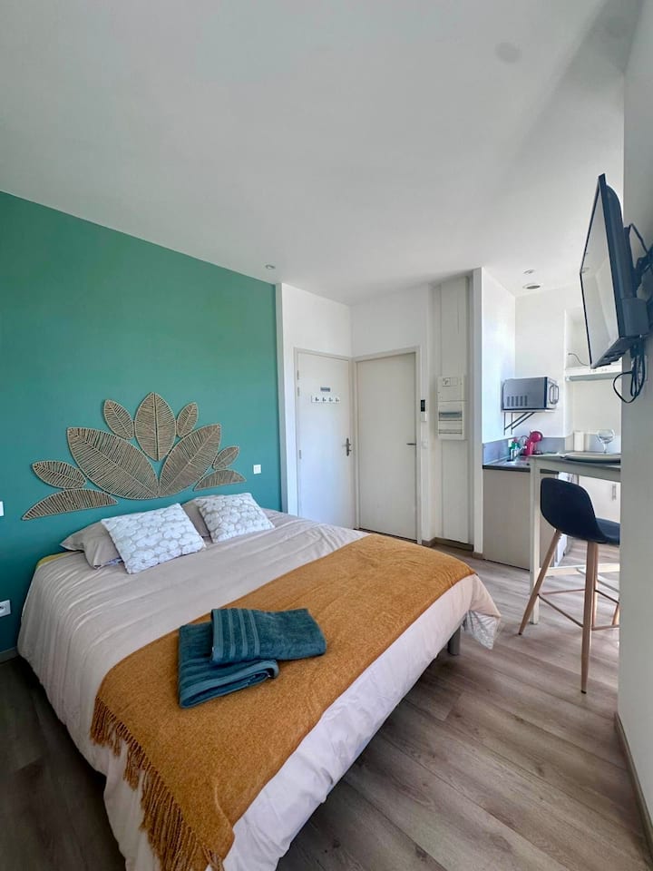 Les Studios Du Pont Joffre "Le Catalan" - Perpignan