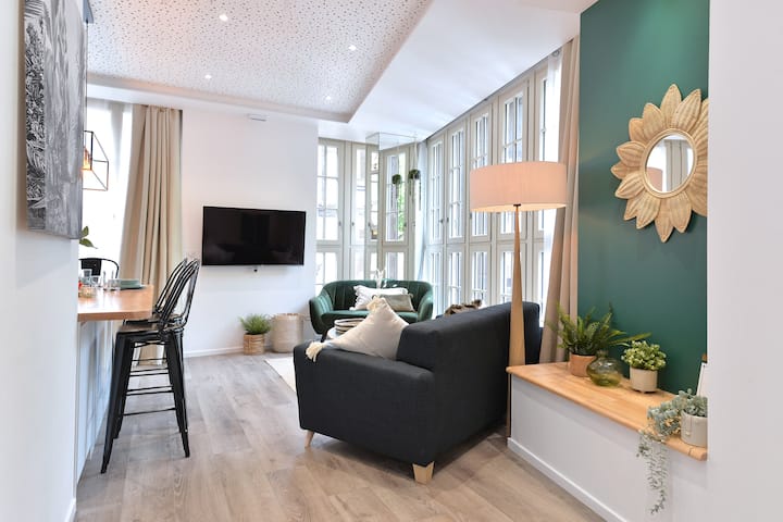 Splendide 1 - Suite Deluxe 4* - Ibis Budget Colmar Centre Gare