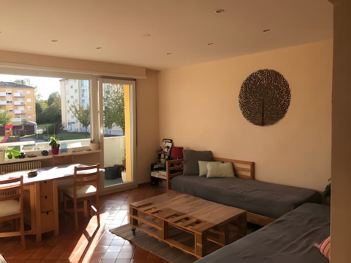 Appart Zen à 15min De Strasbourg - Hœnheim