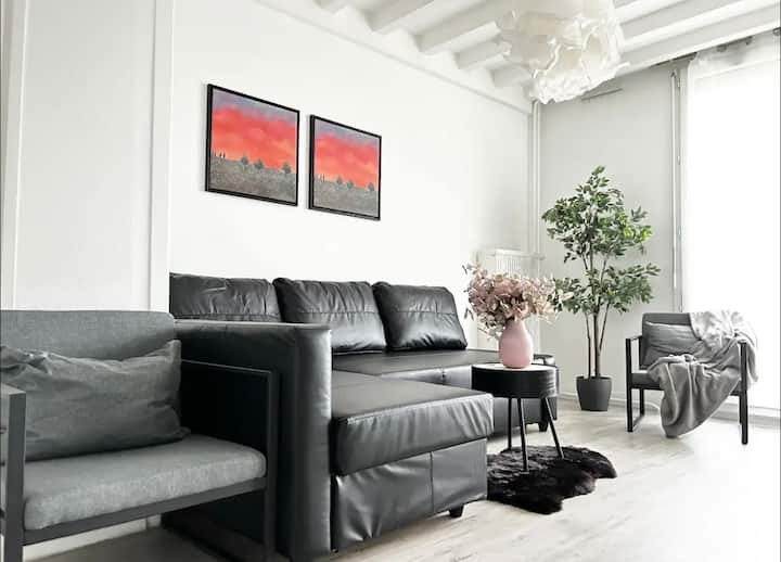 Très Grand Appartement Lumineux - Décines-Charpieu