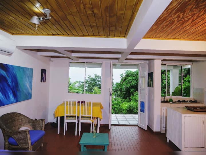 Sumérgete En Un Mar De Emociones - Isla de Providencia