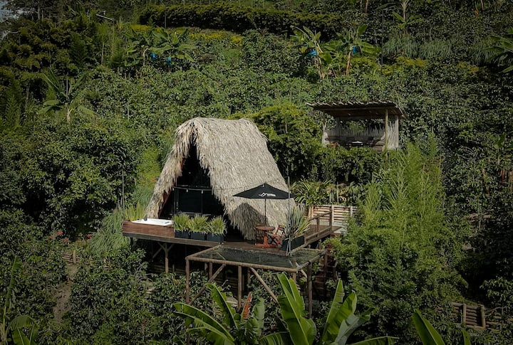 Ocaso | Jacuzzi + Chimenea + Vista · Quindío - Génova
