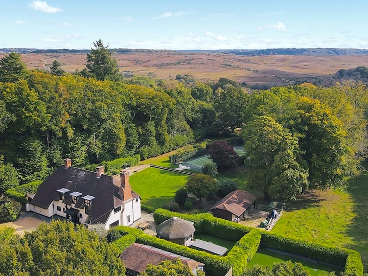 Little Picket - Uk51243 - New Forest