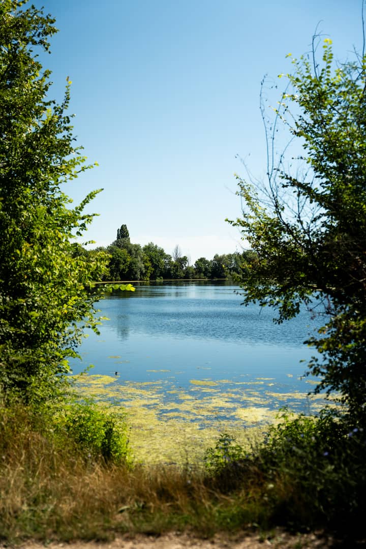 La Cabane Du Silence - Saint-Jean-de-Losne