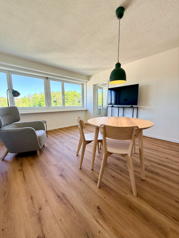 Optimum Executive Studio - Canton de Zürich
