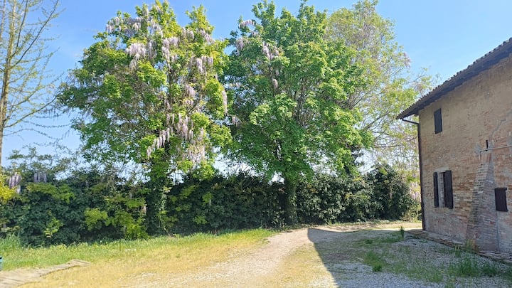 Appartamento Fattoria Degli Orsi
Privacy E Relax - Sassuolo