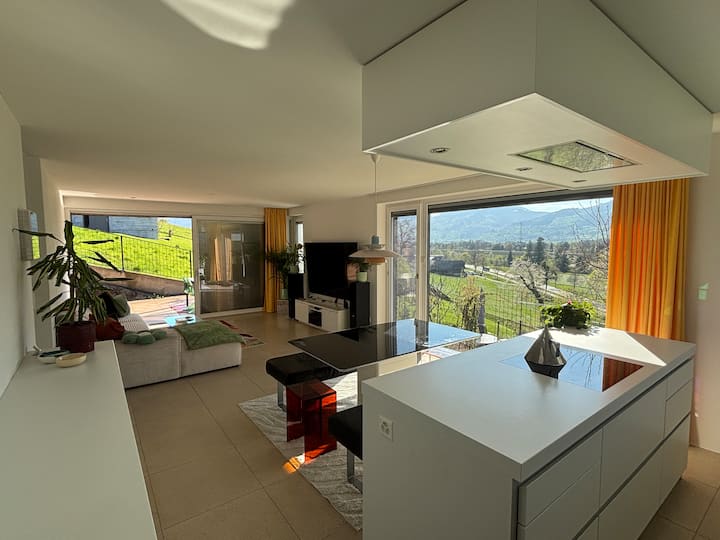 Modernes Architektenhaus Mit Bergpanorama - Liechtenstein