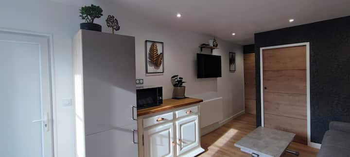 Charmant T2 Neuf Quartier Historique - ibis Aurillac