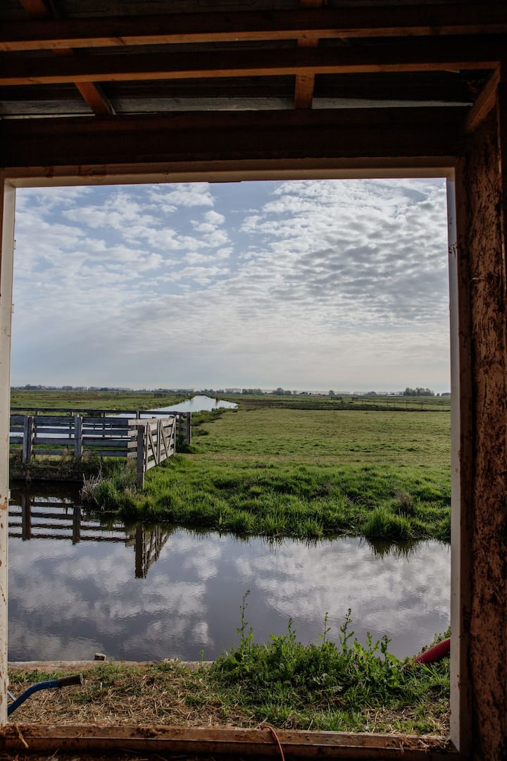 Vrij Aan De Amstel - Woerden