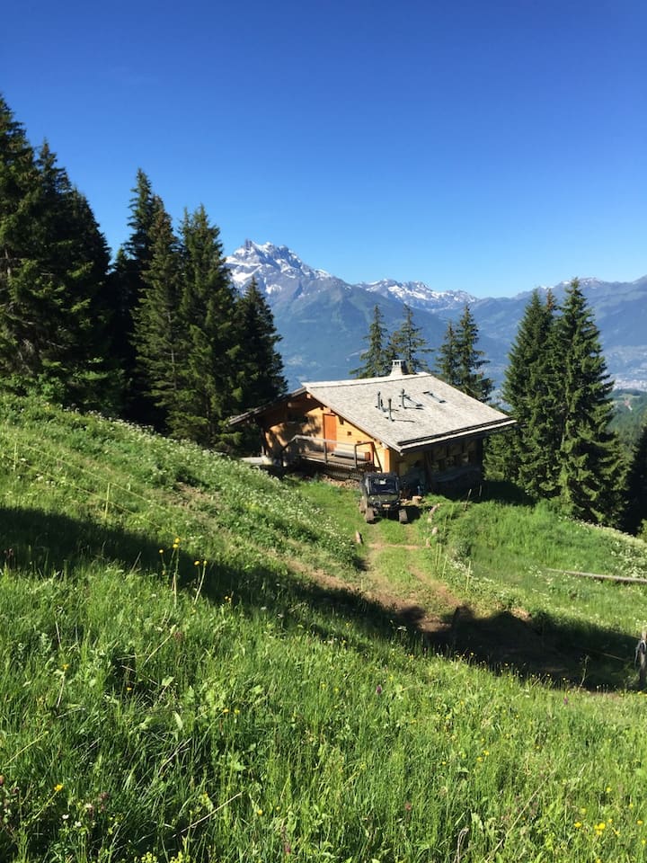 Listed Mountain Barn Built 1825, Renovated 2010 - Villars-sur-Ollon