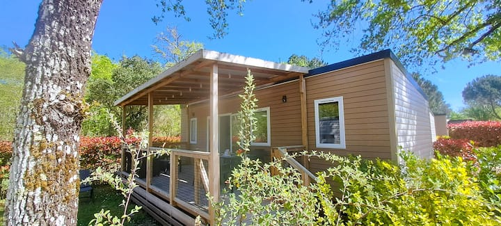 Douceur De Vivre, Plage Et Forêt, Camping Mayotte - Sanguinet