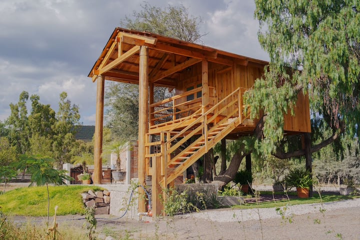 Grandiosa Casa Del áRbol Con Agua Termal - Mexique