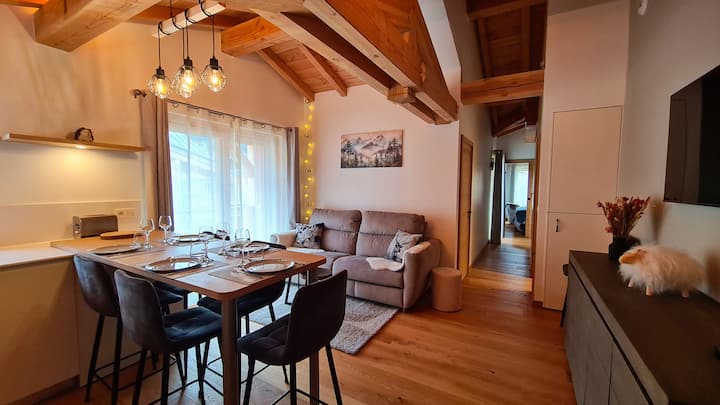 Le Flocon Bleu A3 - Les Gets