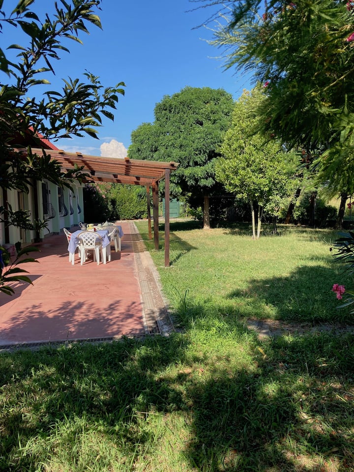 Pisa Torre-terme-mare - Pise