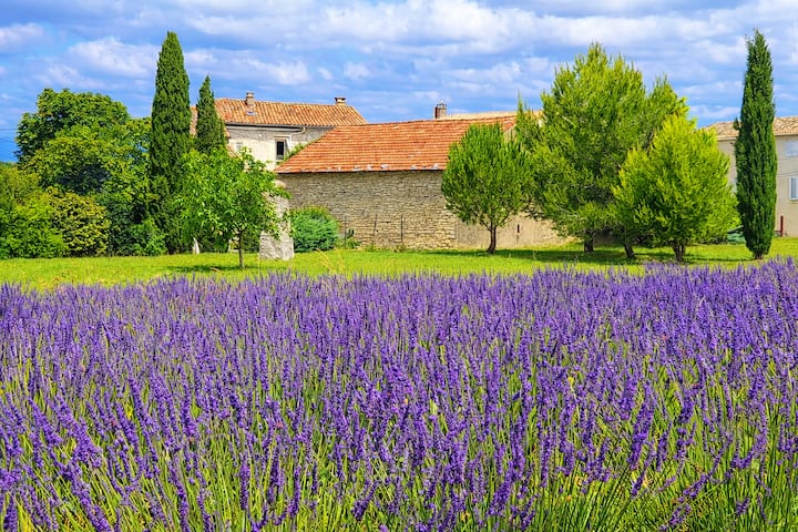 Mas En Pierre • Piscine •12 Pers • Charme, Nature - Ganges