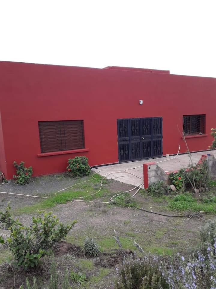 Nature And Peace - Benslimane