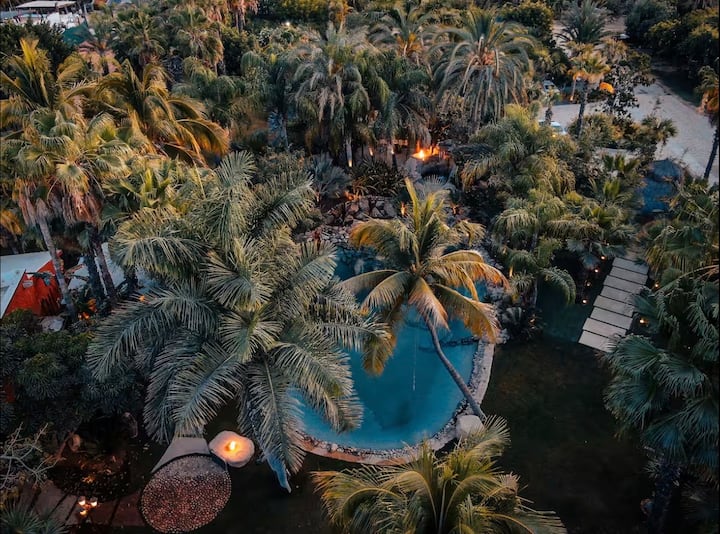 22 Guests Full Experience Villas (Private Venue) - San José del Cabo