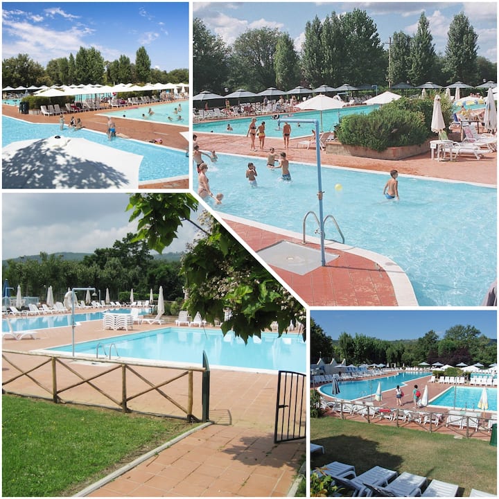 Olive In Chianti - Tuscany