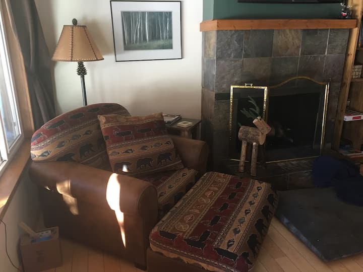 Rural/bbq/fireplace/6 Min>turqlake&trails/dt&rr - Leadville, CO