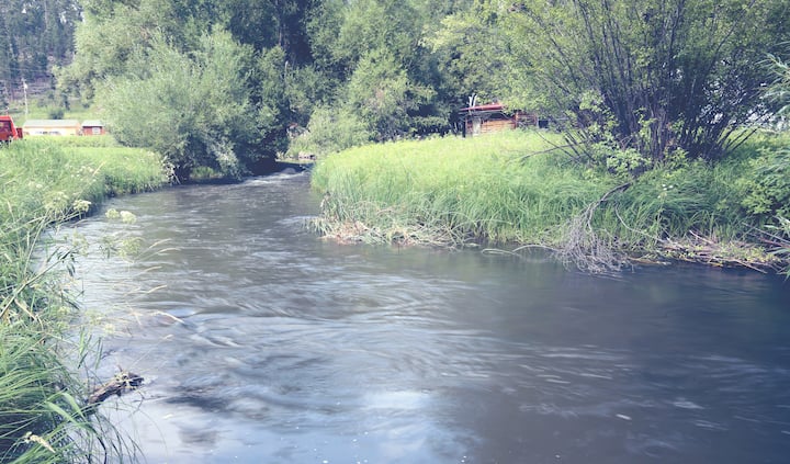 Tent Site 1 - Mount Rushmore, SD