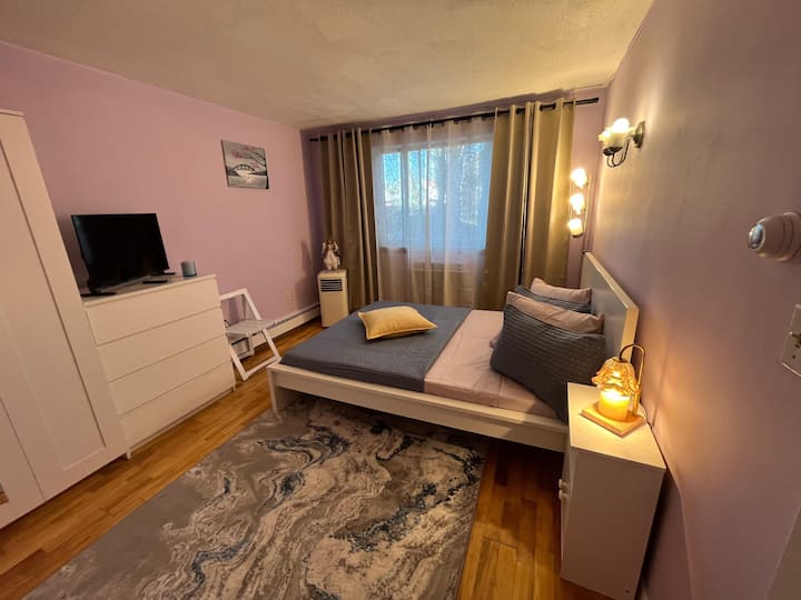 Уютная квартира с двумя спальнями возле парка - Newton, MA