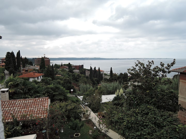 Villa Parenzana - Oleander - Portorož