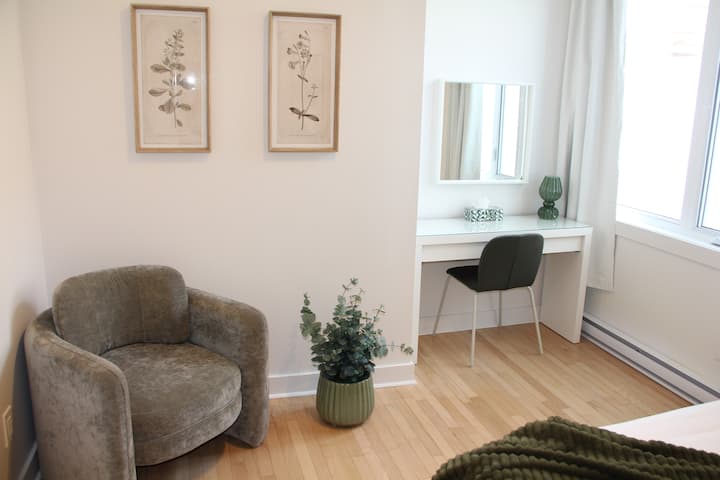 *New*chic 2br In Trendy Rosemont - Montreal