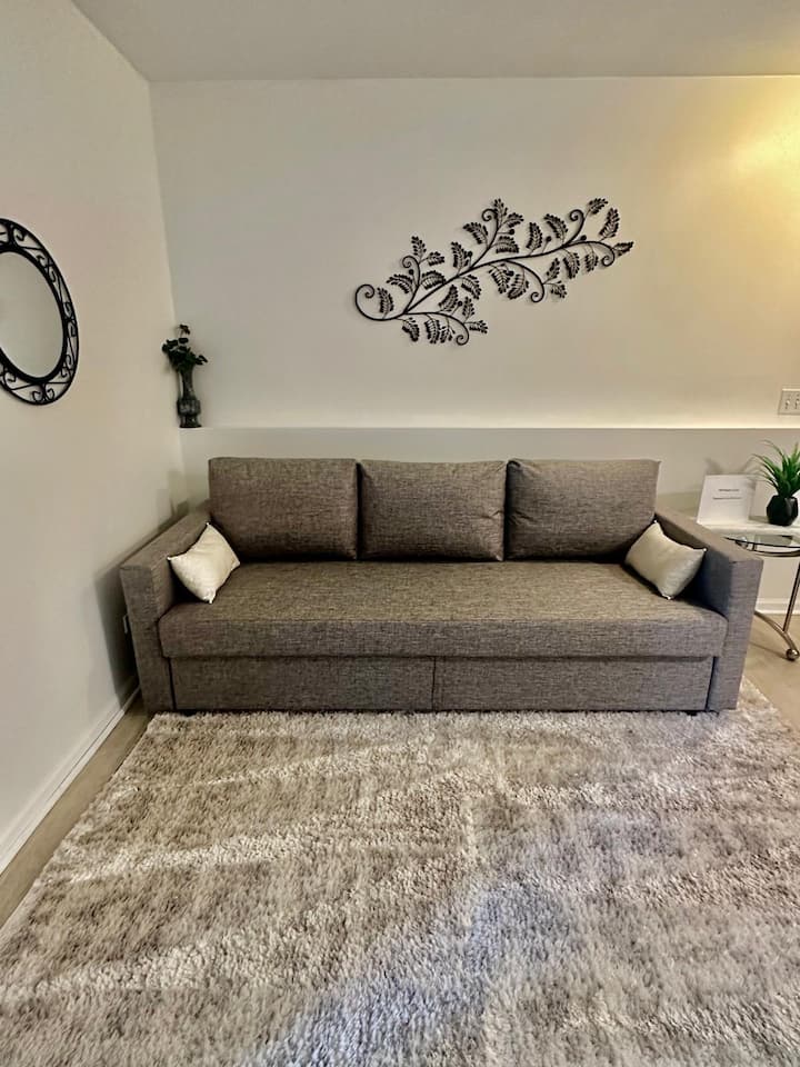 Luxury Walkout Basement In Chicago Suburb - Elgin, IL